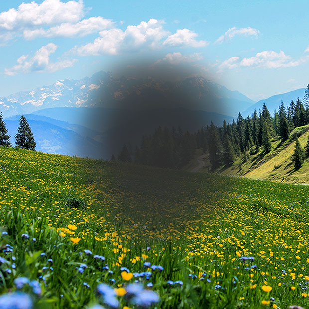 The Basics of AMD – Norman OK | Classic Vision Norman and Noble